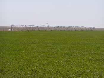 640 acres in Hartley County, Texas