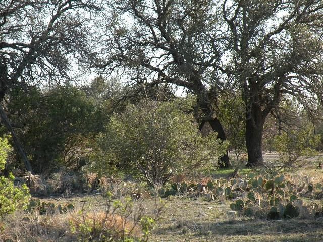 40 acres in Voca, TX, 76887 | Land.com