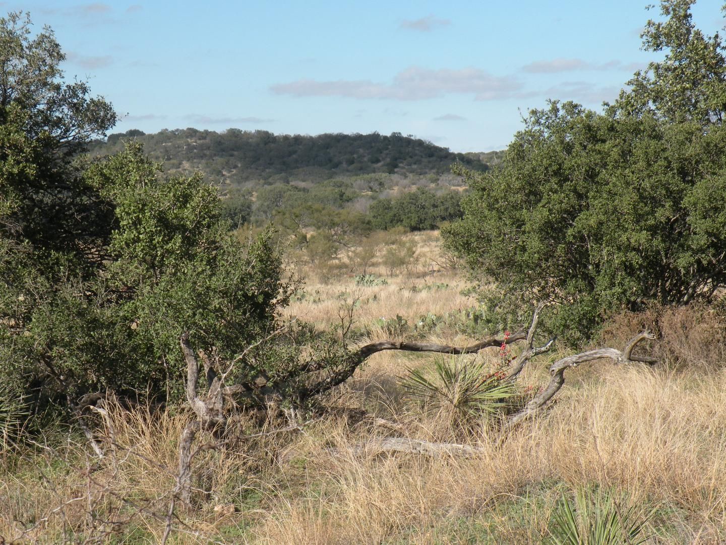 30 acres in Voca, TX, 76887 | Land.com
