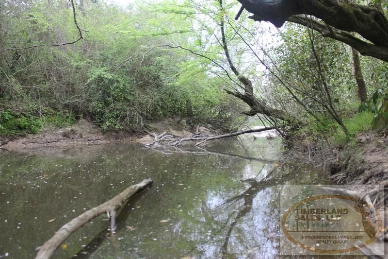 305 Hardy Williams Road, Pinola, MS 39149 | Land.com