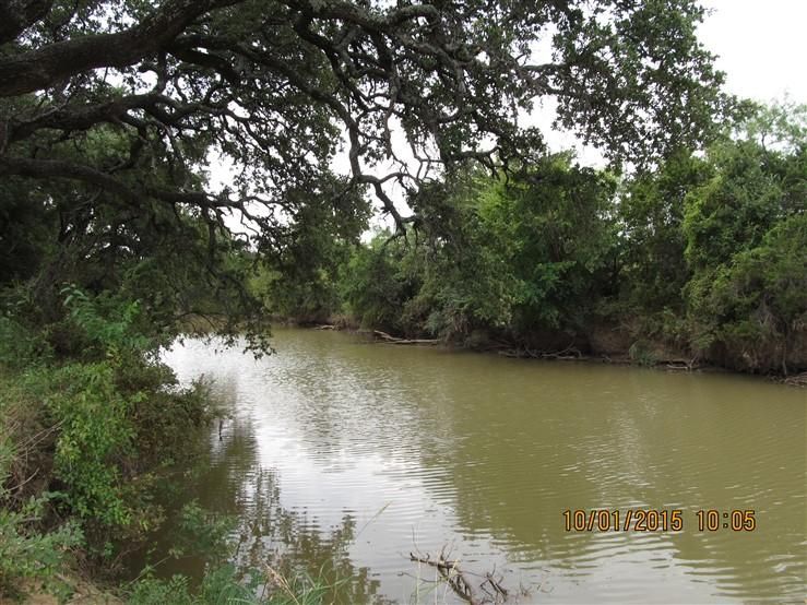 County Road 222, Whon, TX 76834 | Land.com