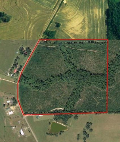 CR 57, Lockhart, AL 36442 | Land.com