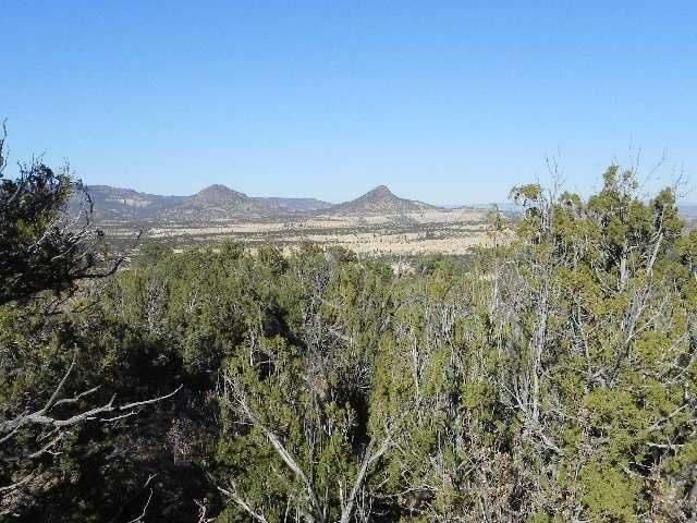 TBD MARQUEZ RD, Seboyeta, NM 87014 | Land.com