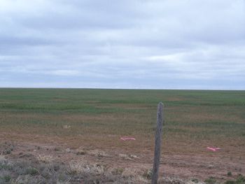 RR 2868 and IH 40, Adrian, TX 79001 | Land.com