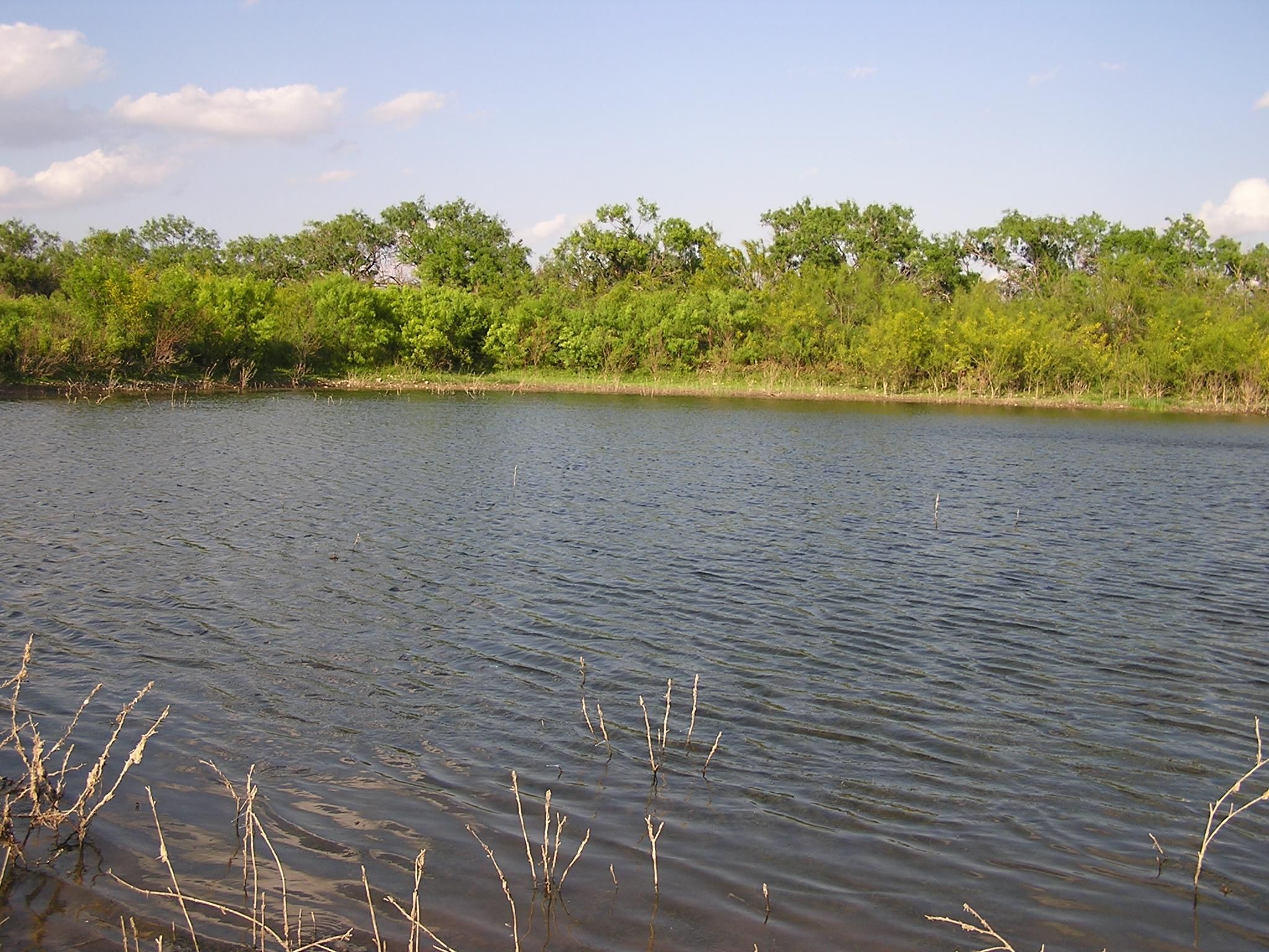 1,938 acres in Zavala County, Texas