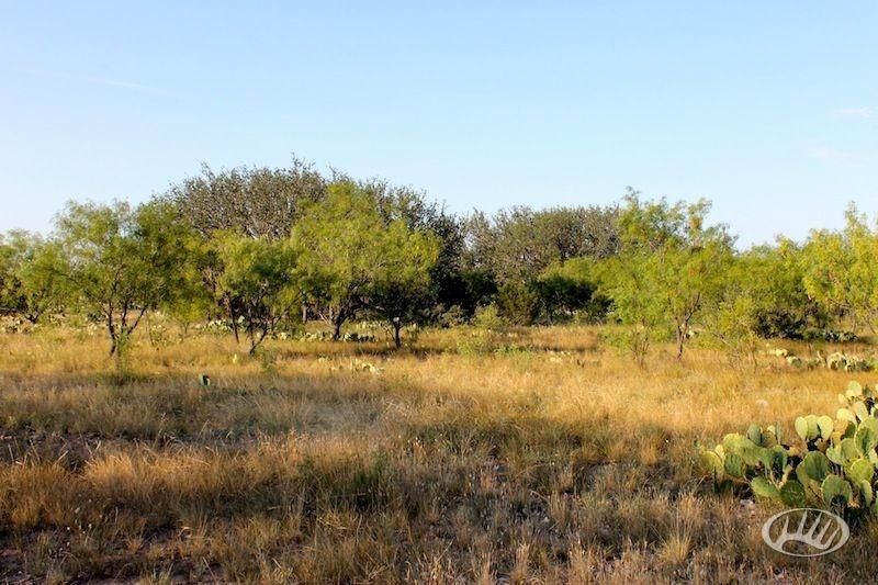 FM 1674, Fort McKavett, TX 76841 | Land.com