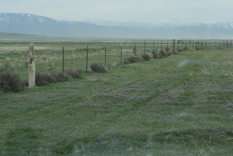 900 acres in Flowell, UT, 84631 | Land.com