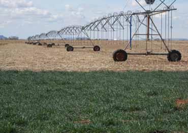 960 acres in Tucumcari, NM, 88401 | Land.com