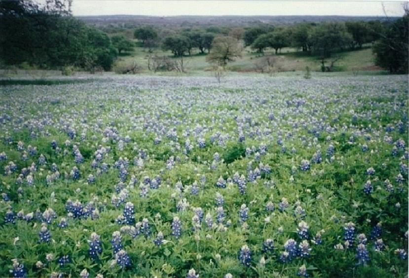 475 acres in Brady, TX, 76825 | Land.com