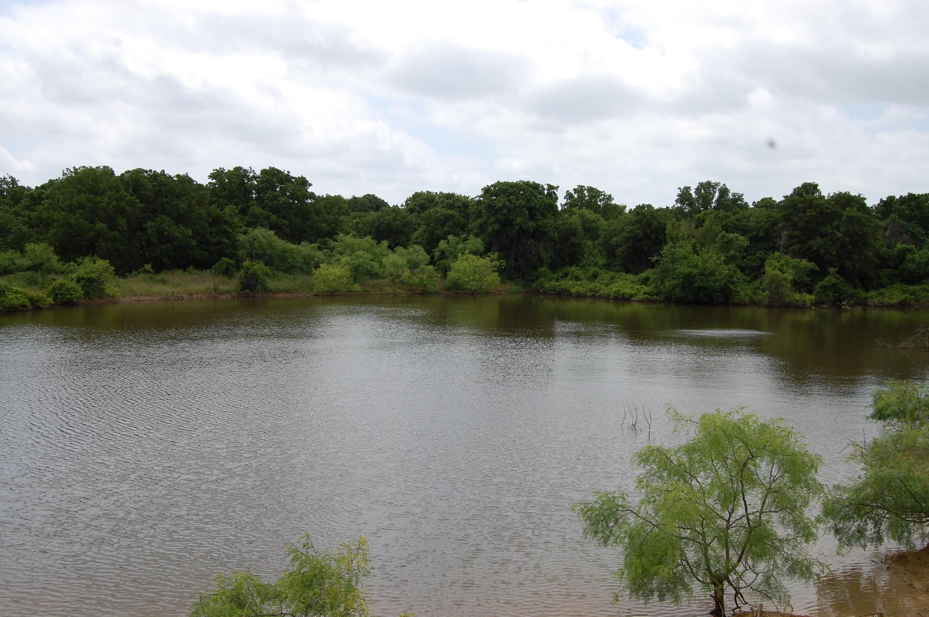 179 acres in Young County, Texas