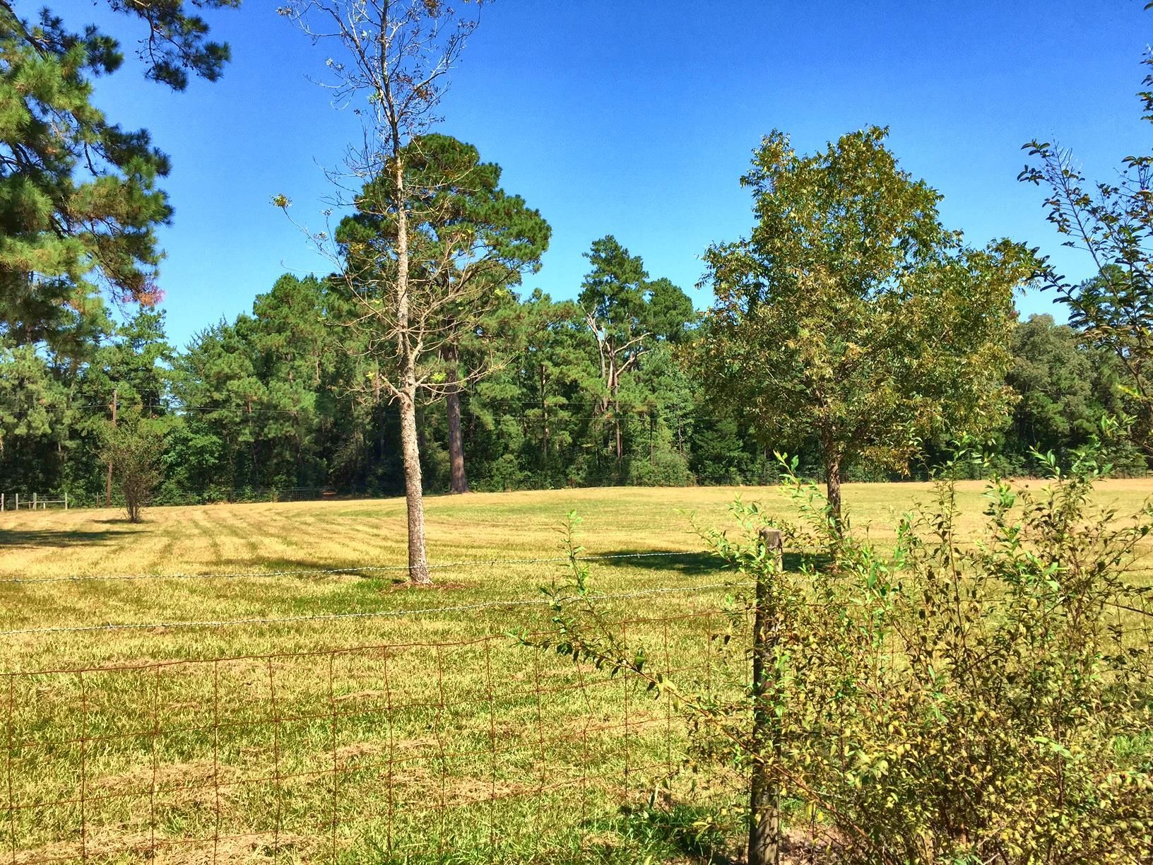 942 CR 4720, Fred, TX 77616 | Land.com