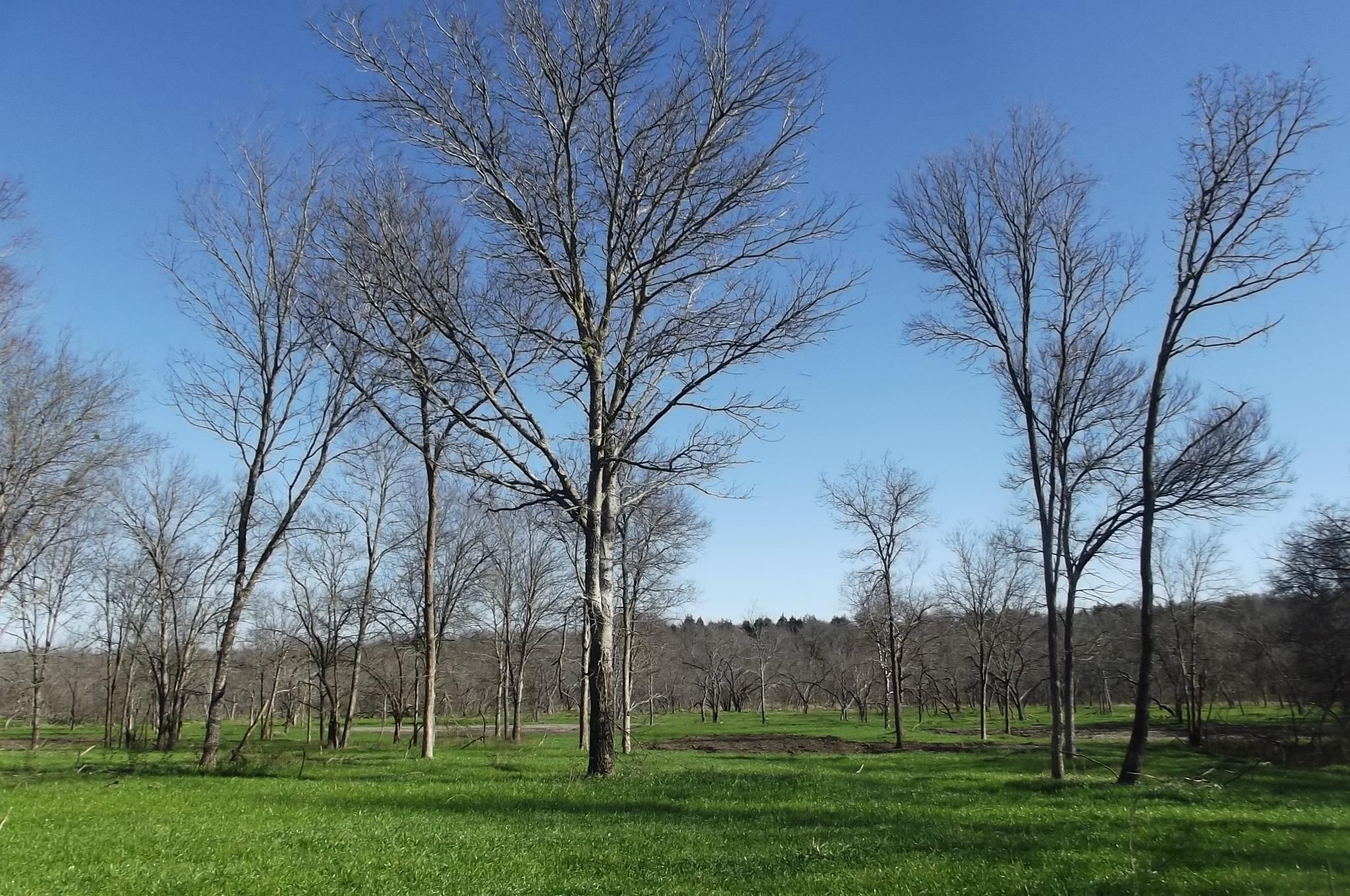 0 Hwy 34, Kaufman, TX 75158 | Land.com