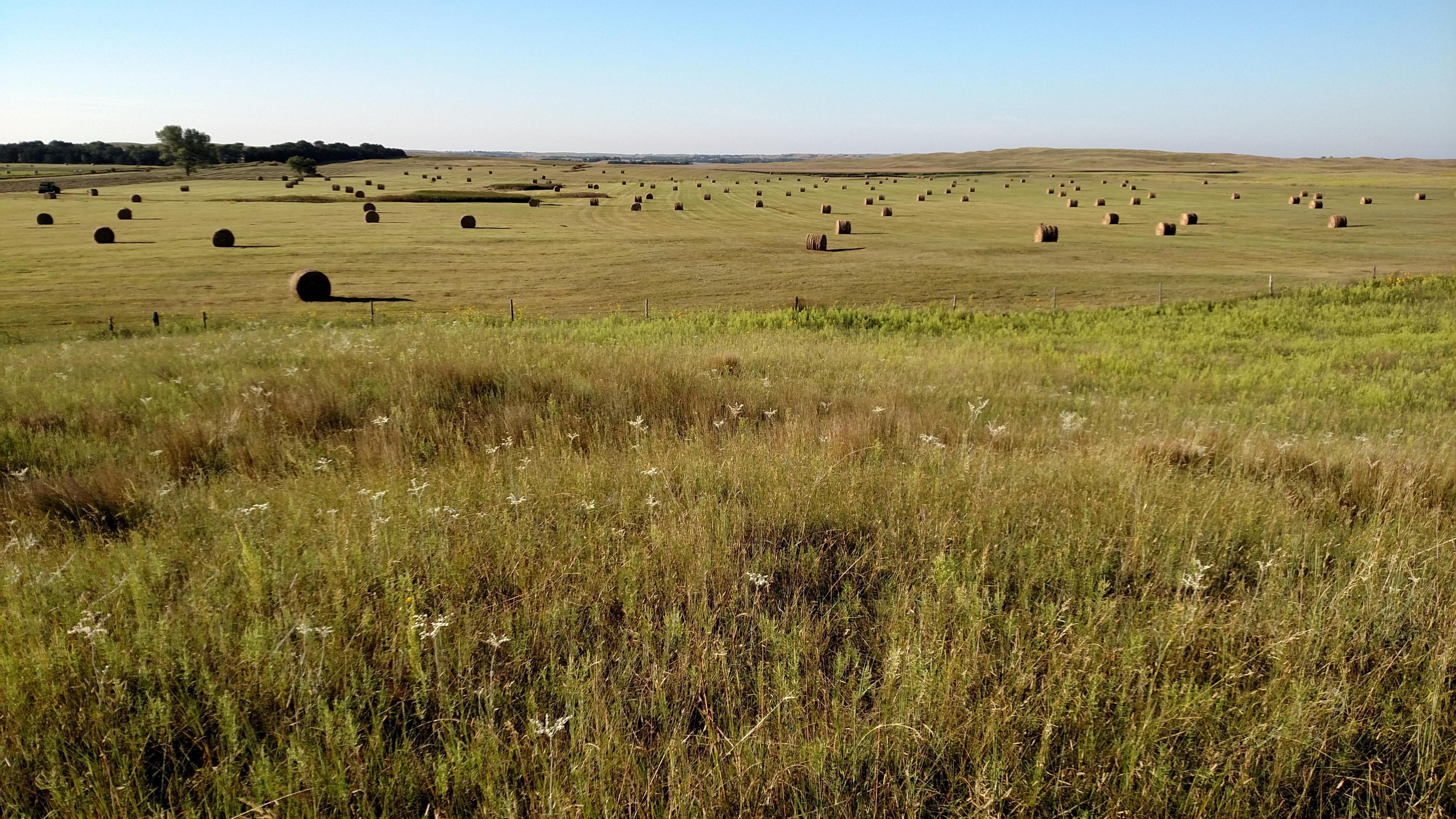 564 acres in Stapleton, NE, 69163 | Land.com