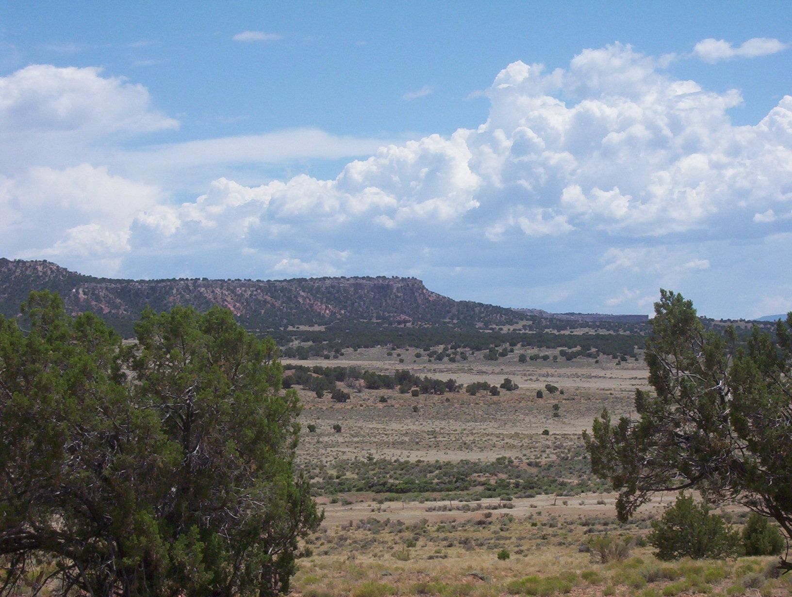 1,280 acres in Catron County, New Mexico