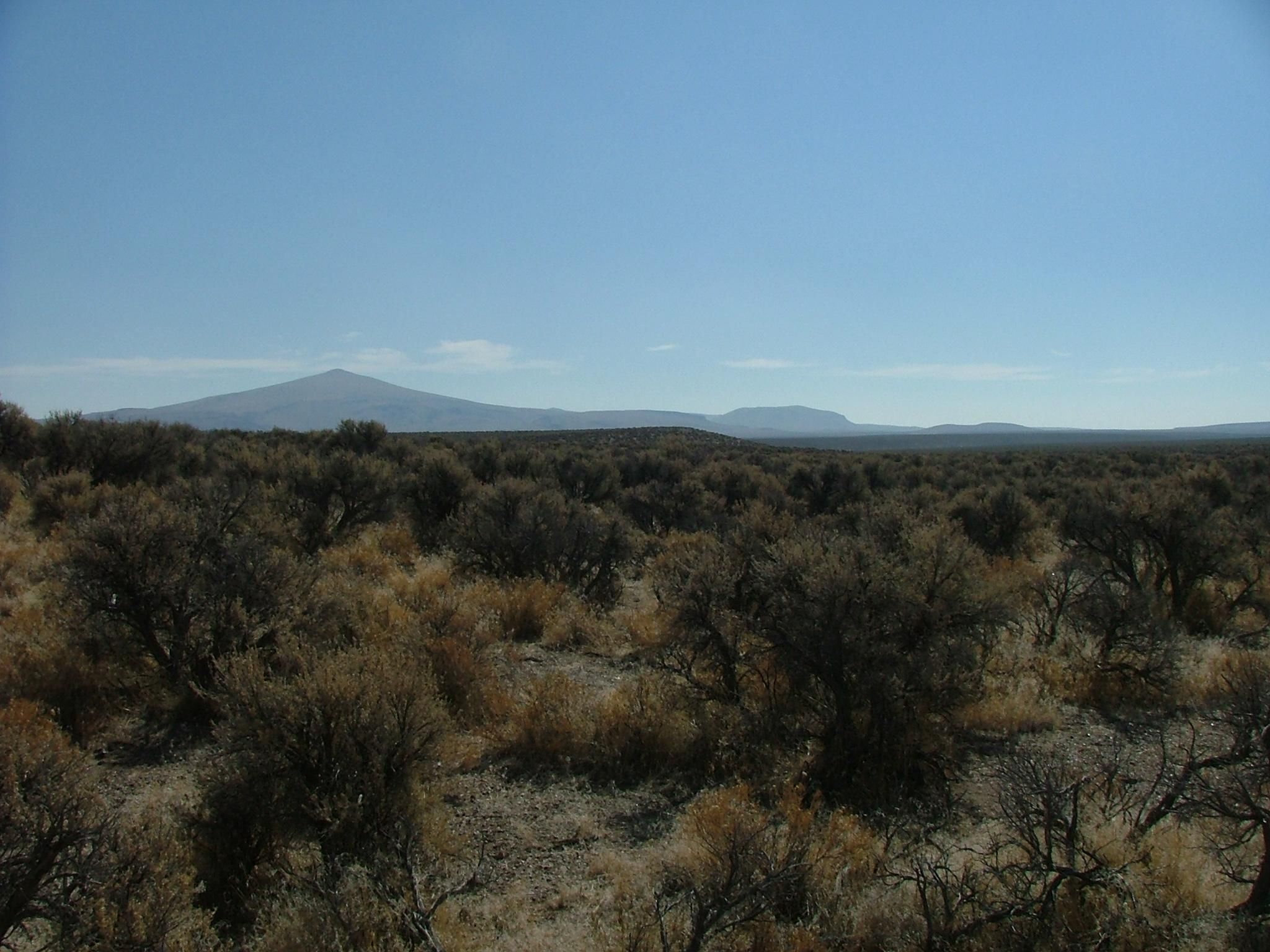 BLM Road #6176-1, Adel, OR 97620 | Land.com