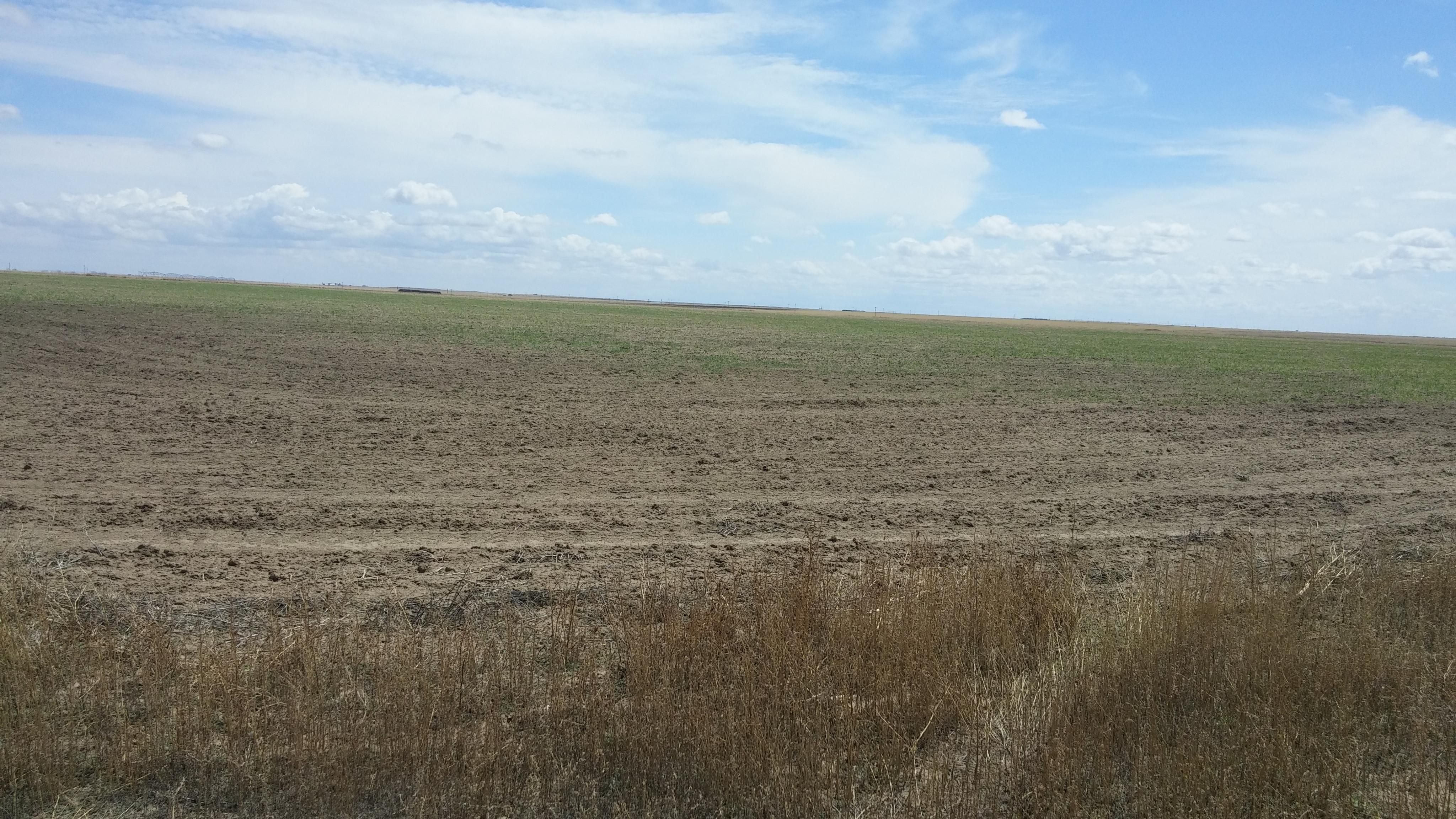 156 acres in Baca County, Colorado