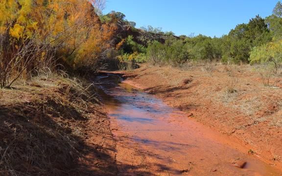 1,165 acres in Dickens County, Texas