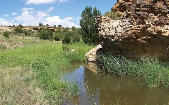 21,752 acres in Baca County, Colorado