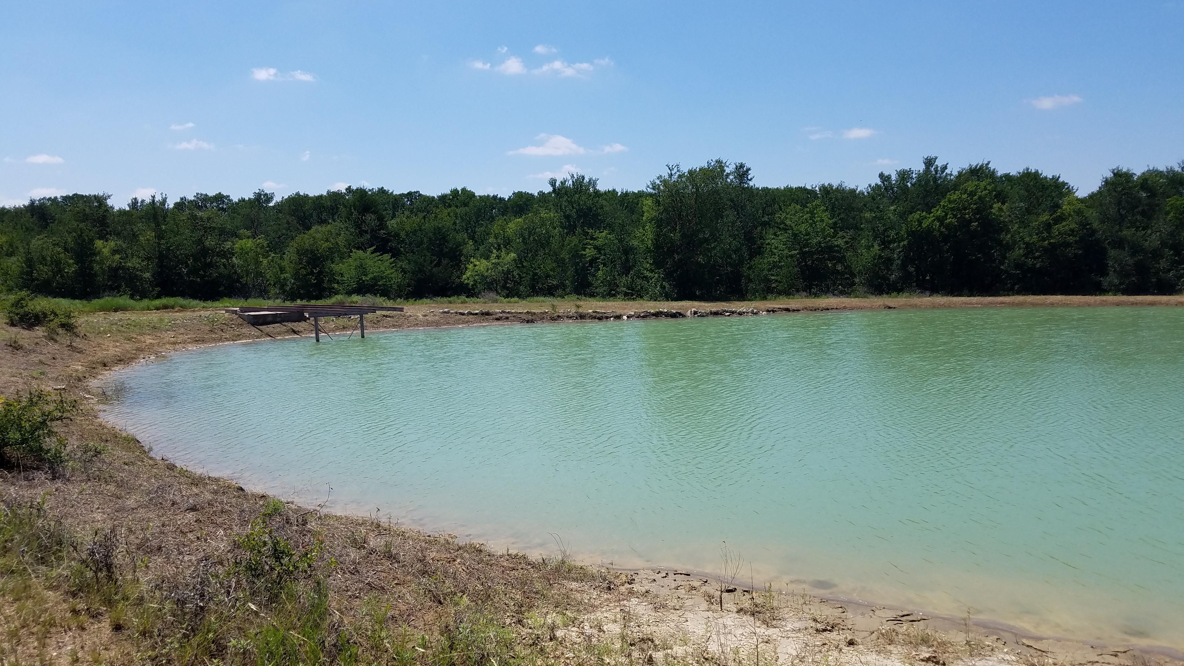 645 FM 339, Mount Calm, TX 76673 | MLS: 170302 | Land.com