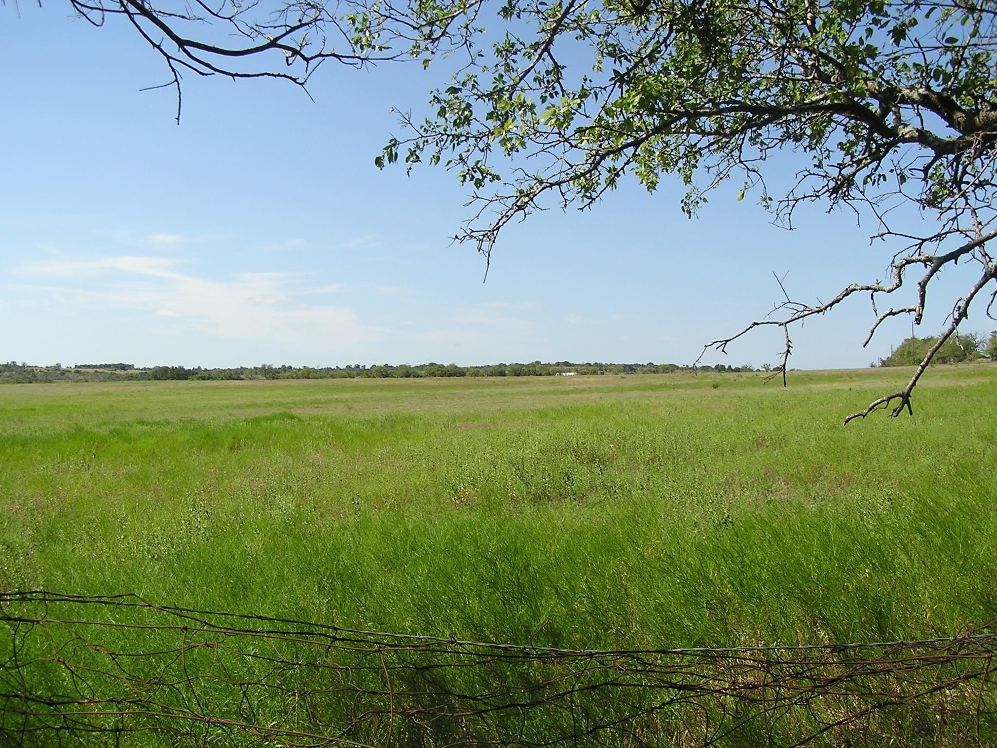302 acres in Hamilton County, Texas
