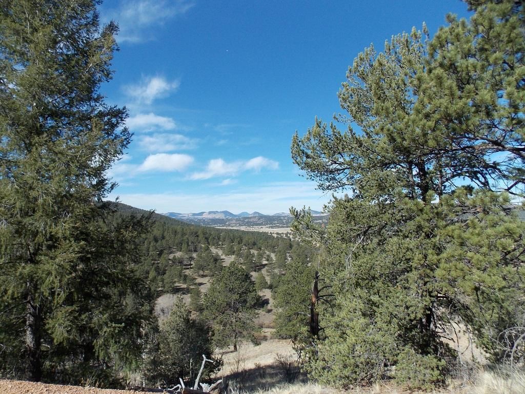 341 Big Rock Point, Cripple Creek, CO 80813 | MLS: 8365552 | Land.com