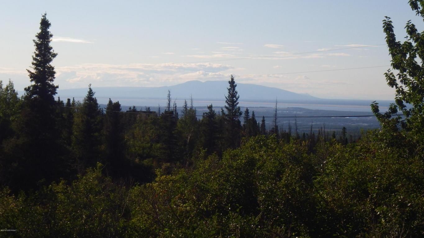 2.34 acres in Anchorage Borough, Alaska