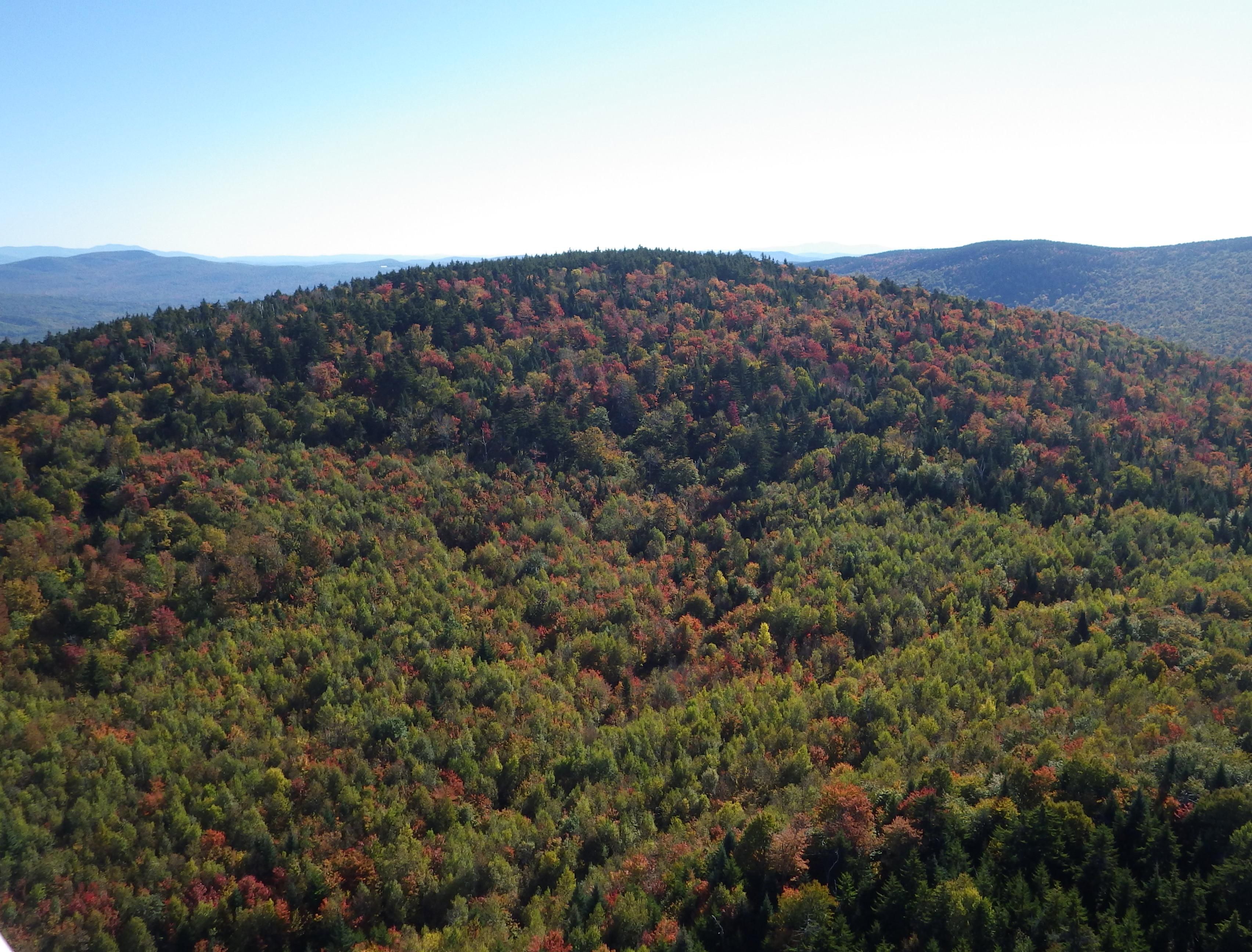 Sculptured Rocks Road, Groton, NH 03266 | Land.com