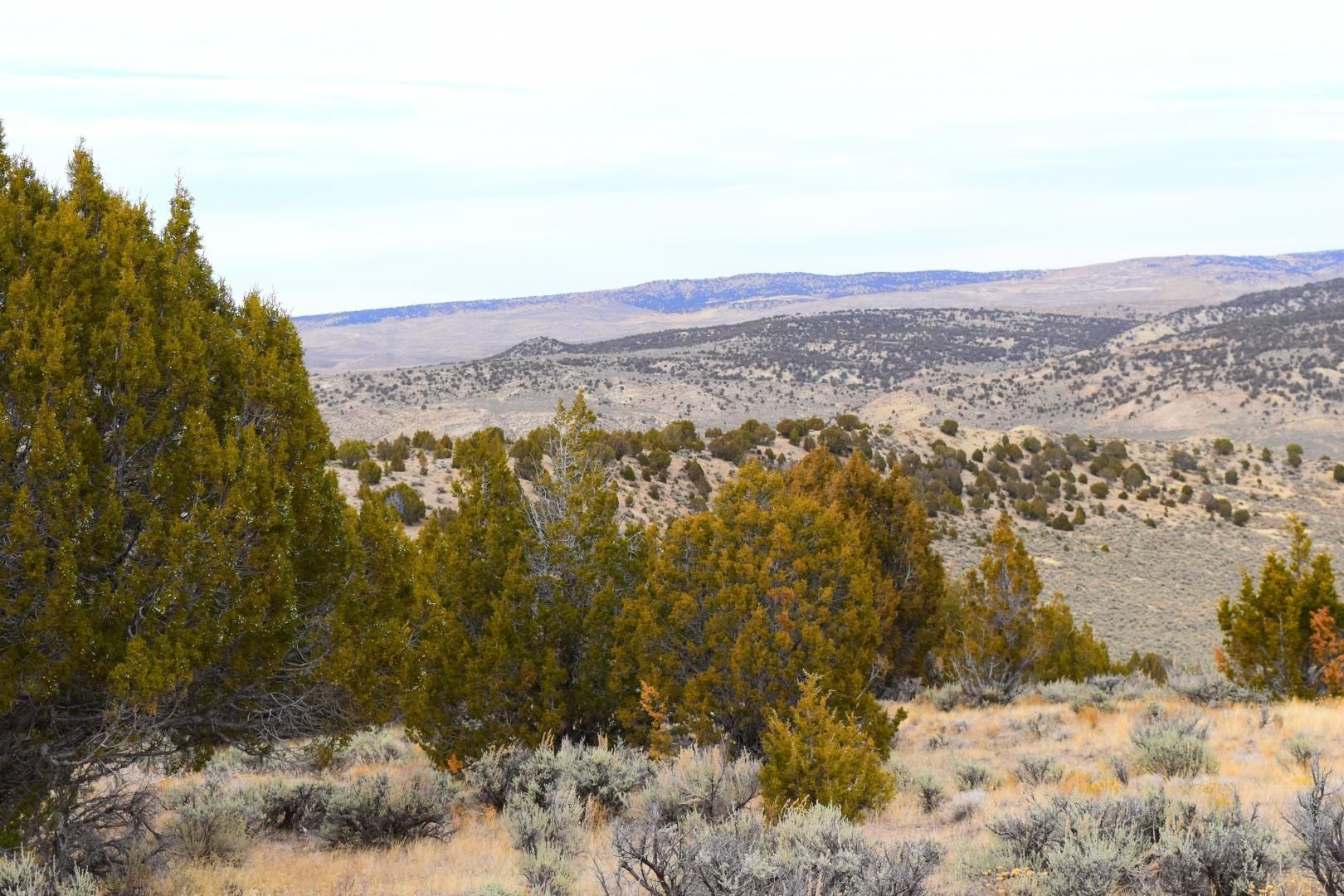 W. HWY 40, Craig, CO 81625 | Land.com