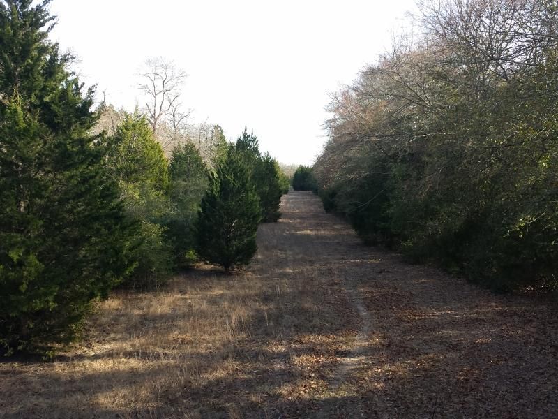 54.17 acres in Robertson County, Texas