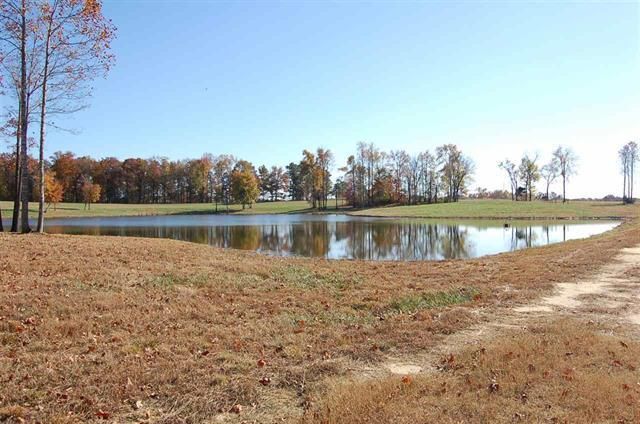 1667 County Rd 378, Dutton, AL 35744 | Land.com