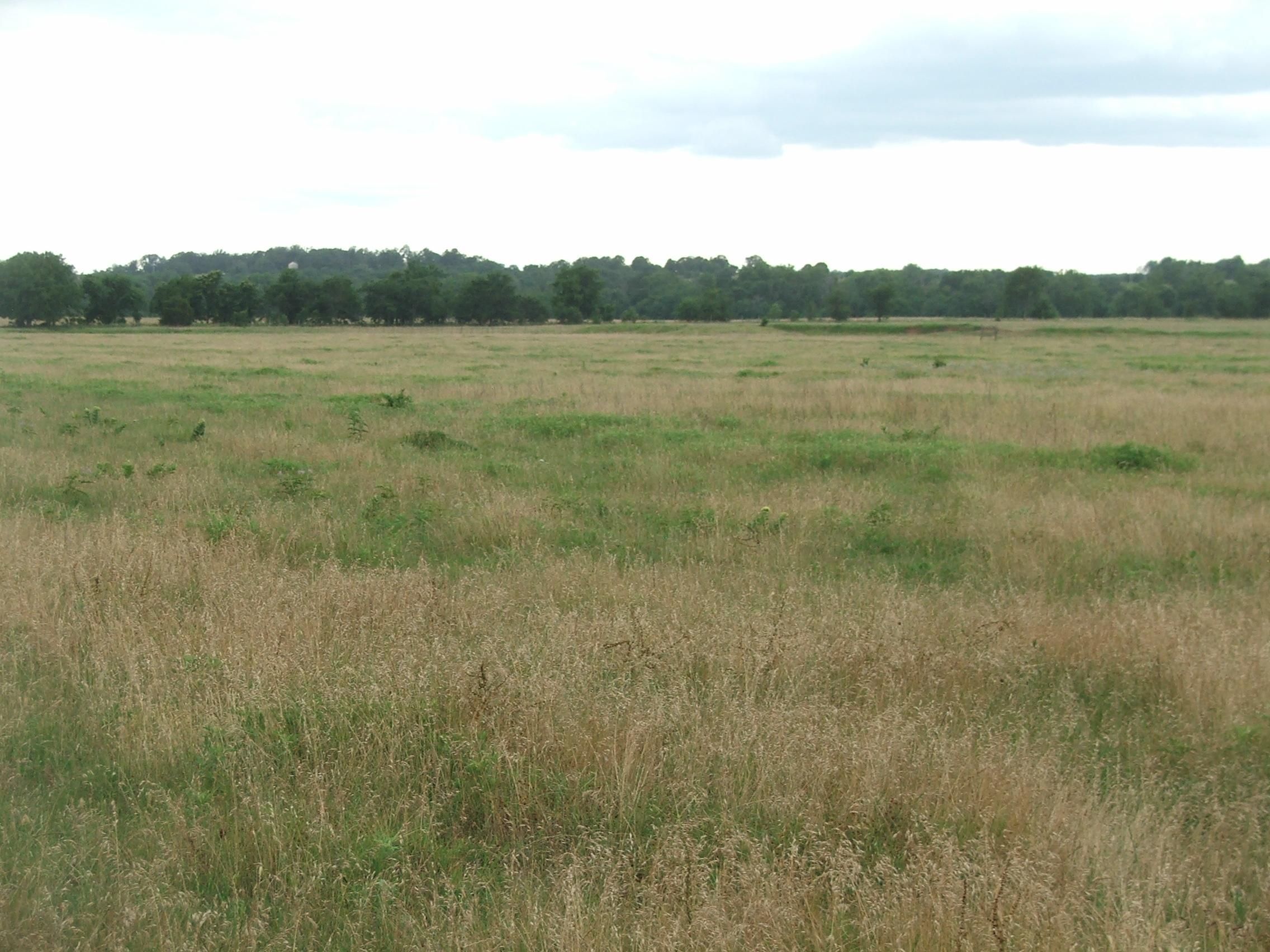 110 acres in Lehigh, OK, 74556 | Land.com