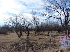CR 150, Hamby, TX 79601 | Land.com