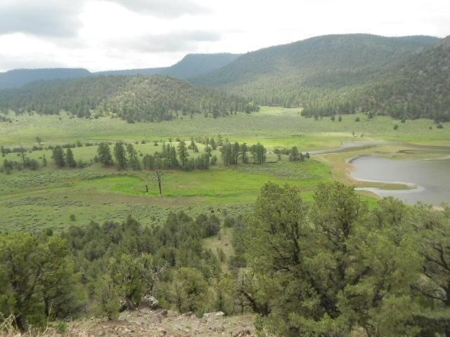 60,778 acres in Catron County, New Mexico