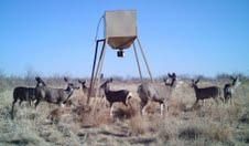 3250 County Rd 4300, Lenorah, TX 79749 | Land.com