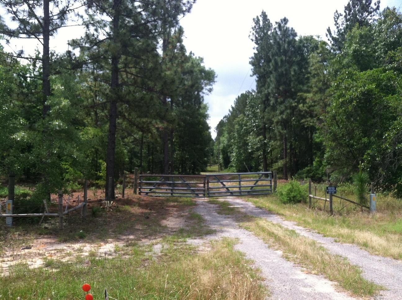 93 acres in Mauk, GA, 31058 | Land.com