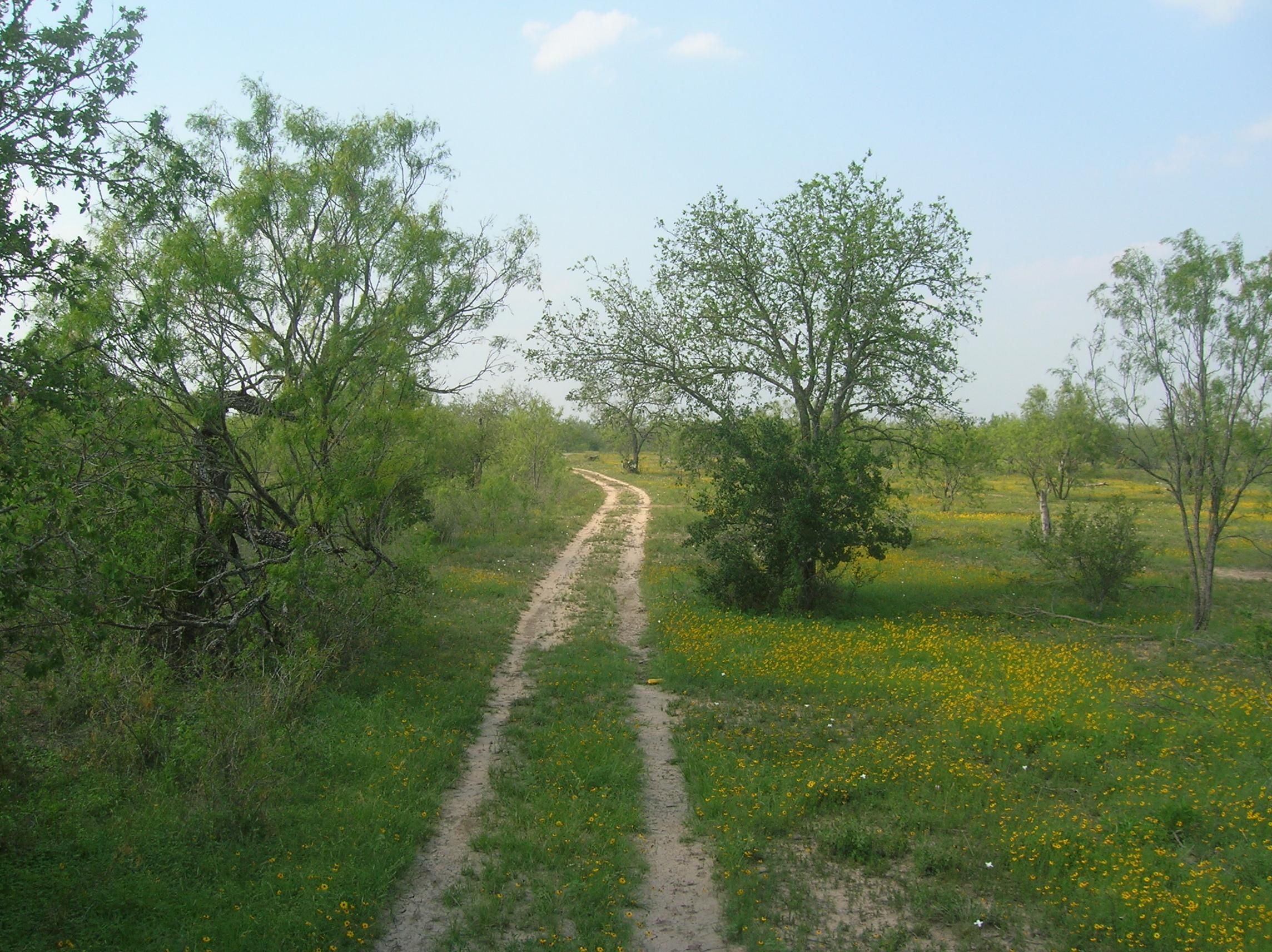 645 acres in Uvalde County, Texas