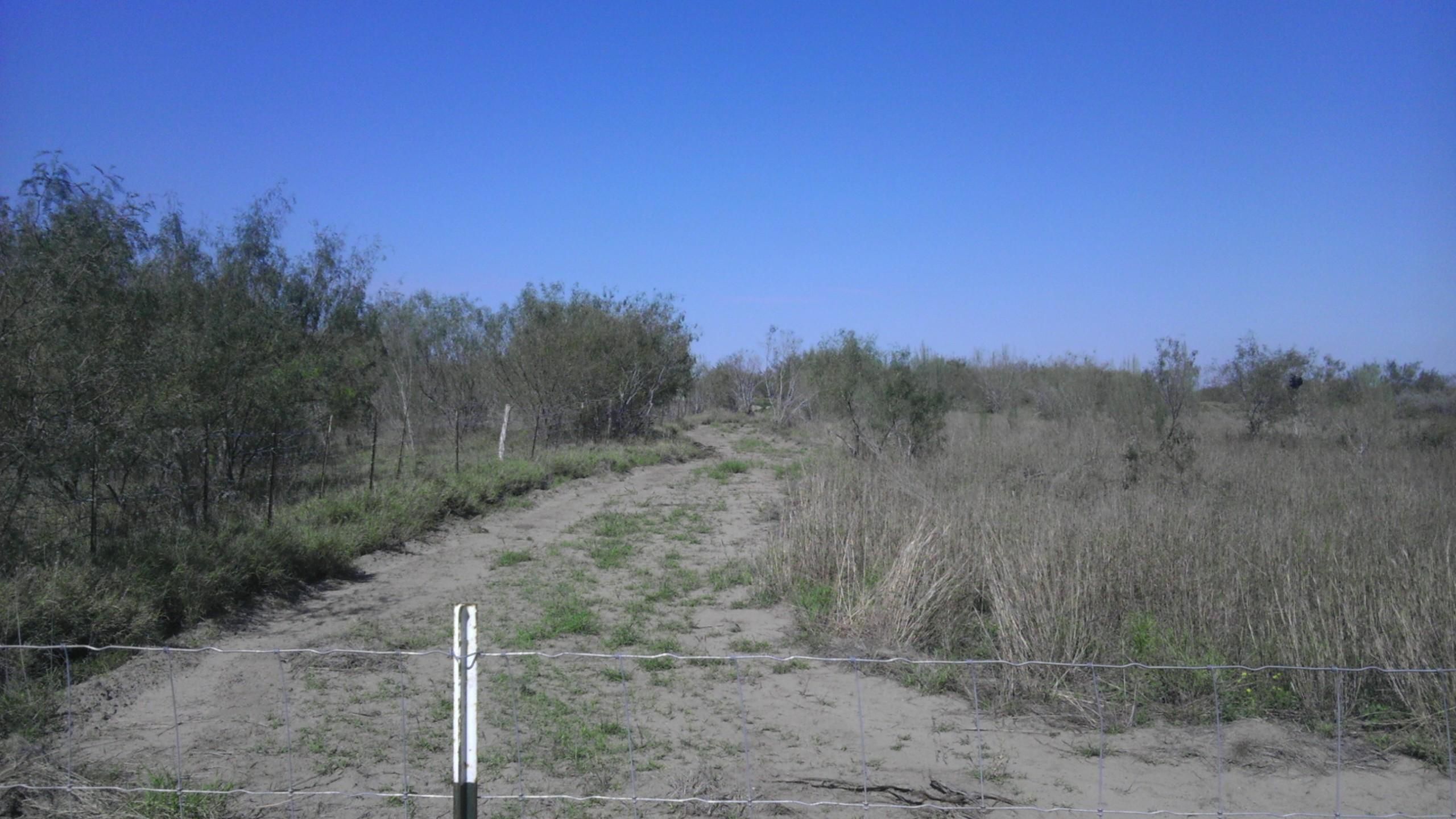 Wallace Road, McCook, TX 78541 | Land.com