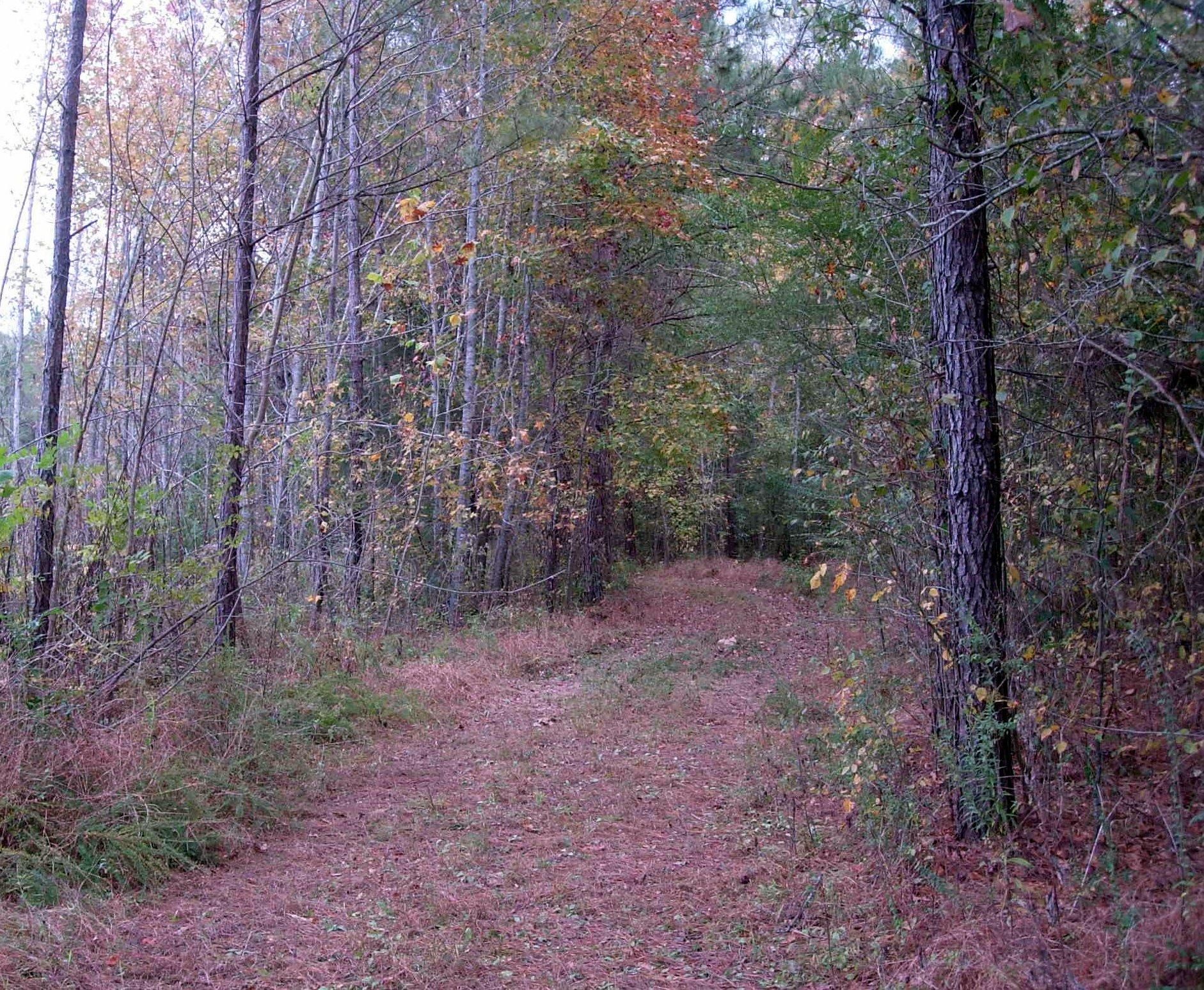 233 acres in Wilcox County, Alabama