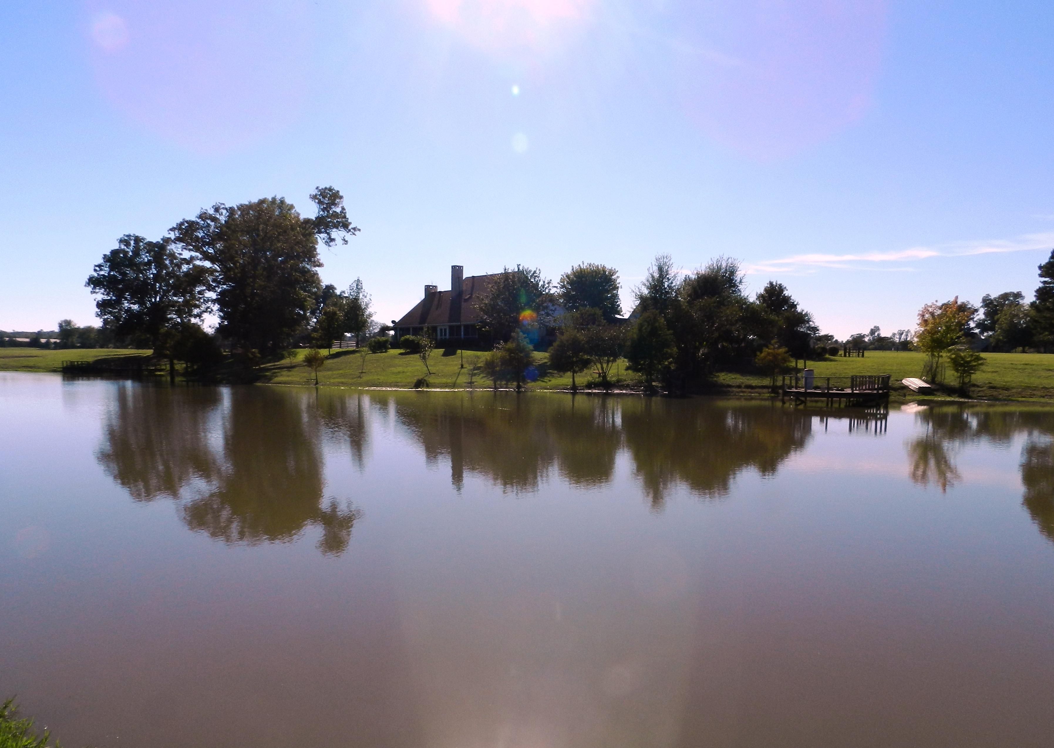 7369 FM 999, Timpson, TX 75975 | Land.com