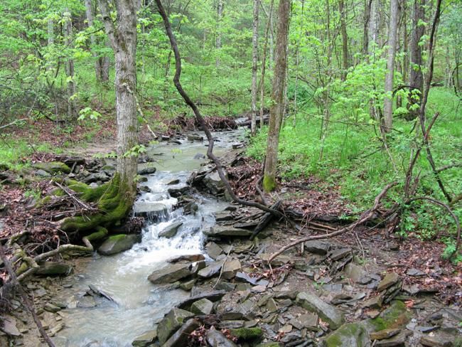 100 Cooks Run Road, Greenville, WV 24945 | Land.com