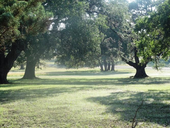 Tract 186, Bridlegate Ranch, Bandera, TX 78003 | Land.com