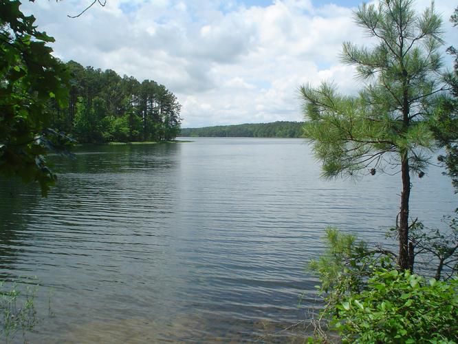 1.3 acres in Jenkinsville, SC, 29065 | Land.com