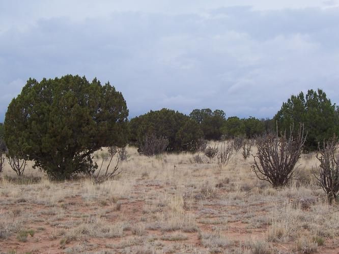 Lot 164 Windmill Ranches, Carrizozo, NM 88301 | Land.com