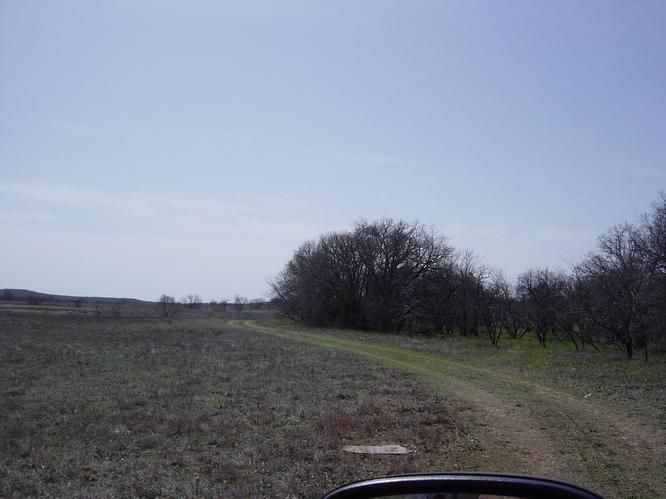 56 acres in Young County, Texas