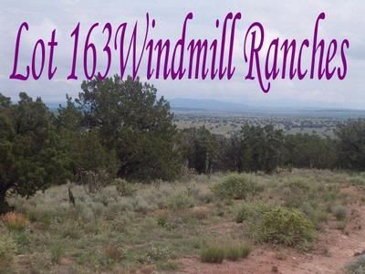 Lot 163 Windmill Ranches, Ancho, NM 88301 | Land.com