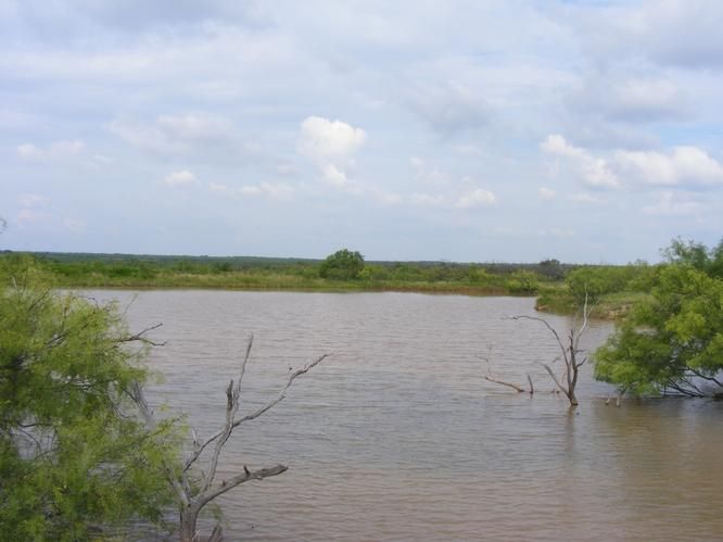 600 acres in Young County, Texas
