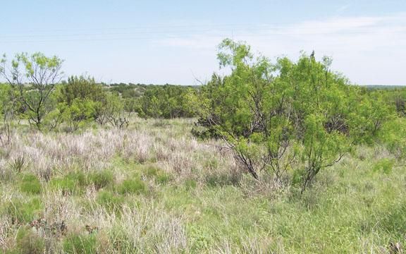 1,920 acres in Garza County, Texas