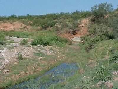 , Robert Lee, TX | Land.com