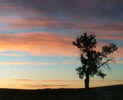 8,510 acres in Kaycee, WY, 82639 | Land.com