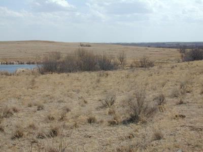 160 acres in Wheeler County, Texas